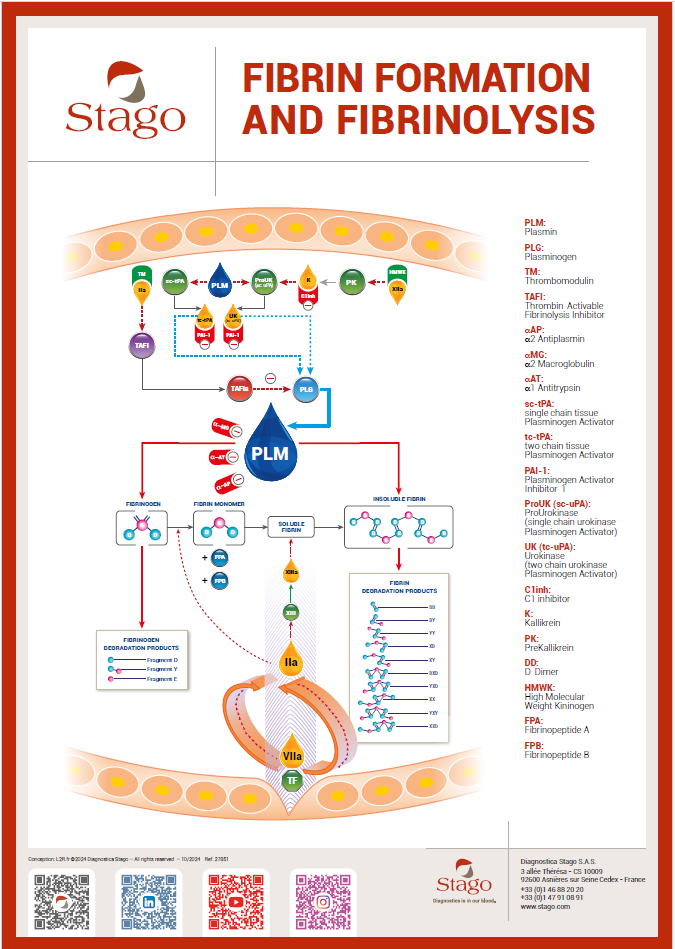 Haemostasis: diagrams for better understanding